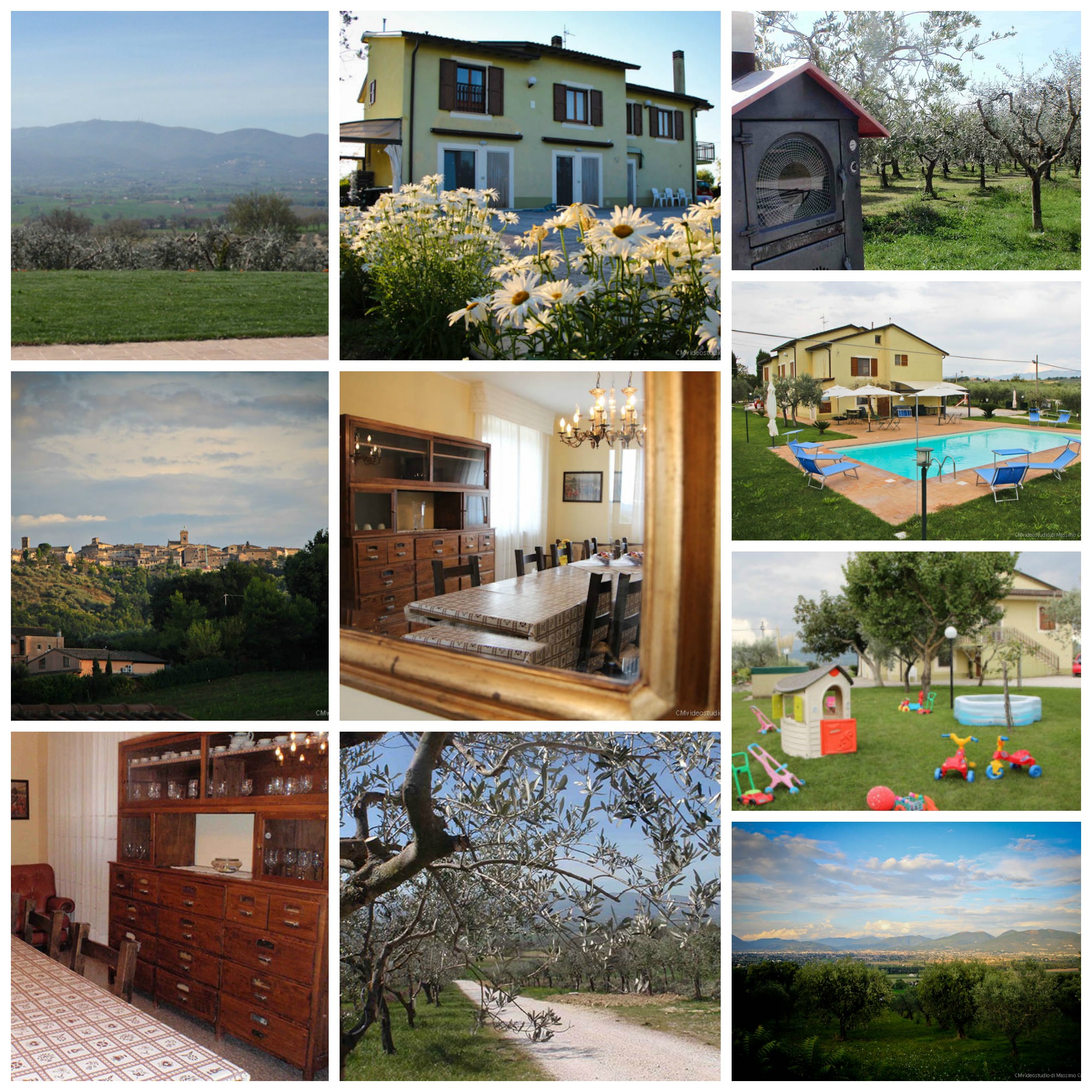 PicMonkey Collage 2 ulivi - Umbria Tua